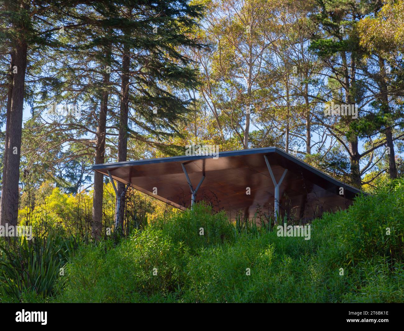 Forest lookout hi-res stock photography and images - Alamy