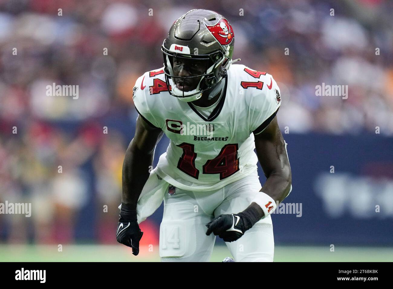 Tampa Bay Buccaneers wide receiver Chris Godwin (14) plays during the ...