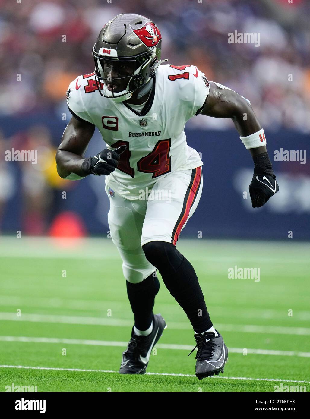 Tampa Bay Buccaneers wide receiver Chris Godwin (14) plays during the ...