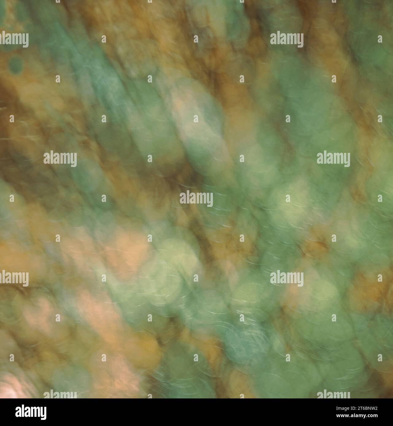 Growth movement hi-res stock photography and images - Alamy