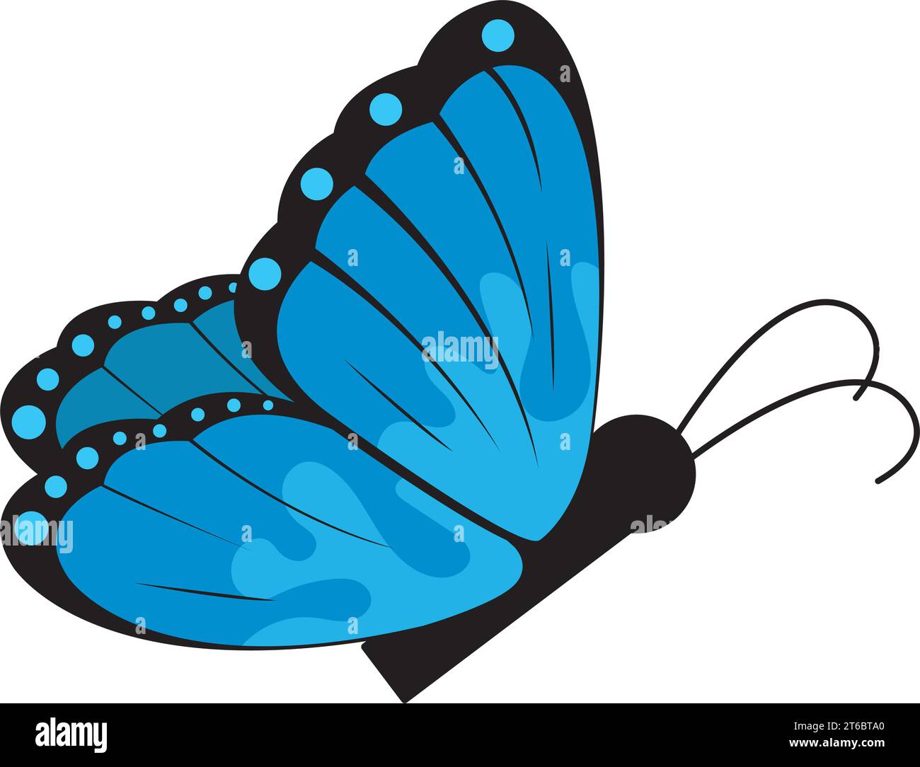 Isolated cute butterfly Vector Stock Vector Image & Art - Alamy