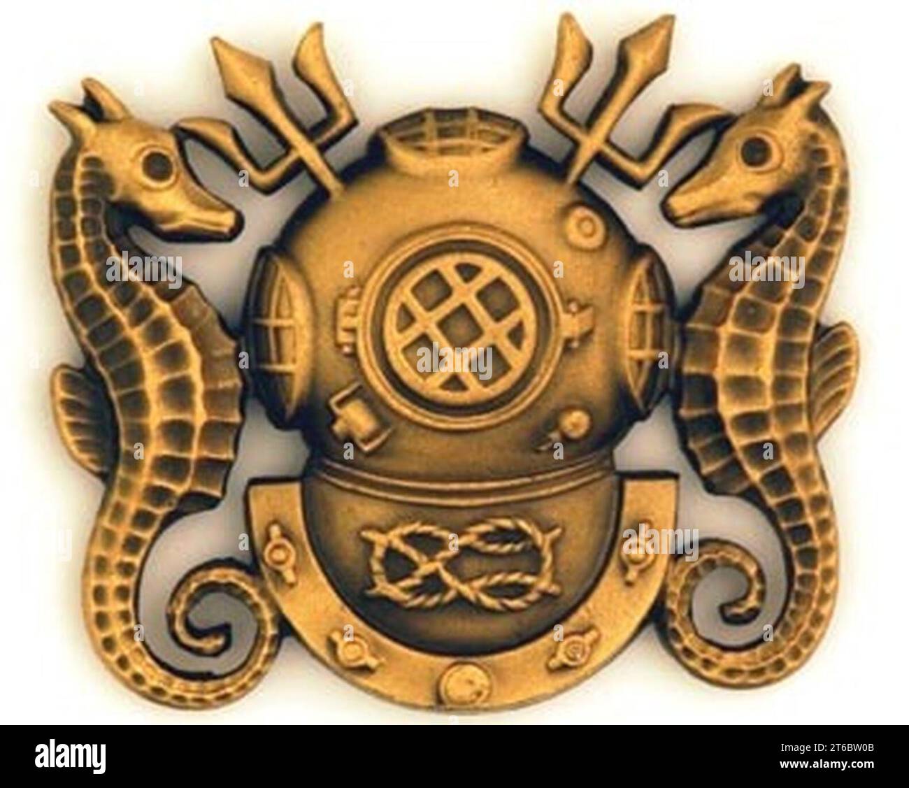 USN-USCG Diving Officer insignia Stock Photo - Alamy