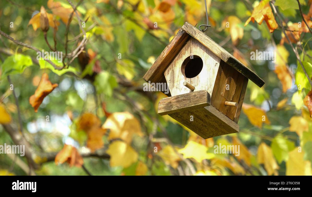 Wood bird house bird nest hanging on a tree with nature tree forest ...