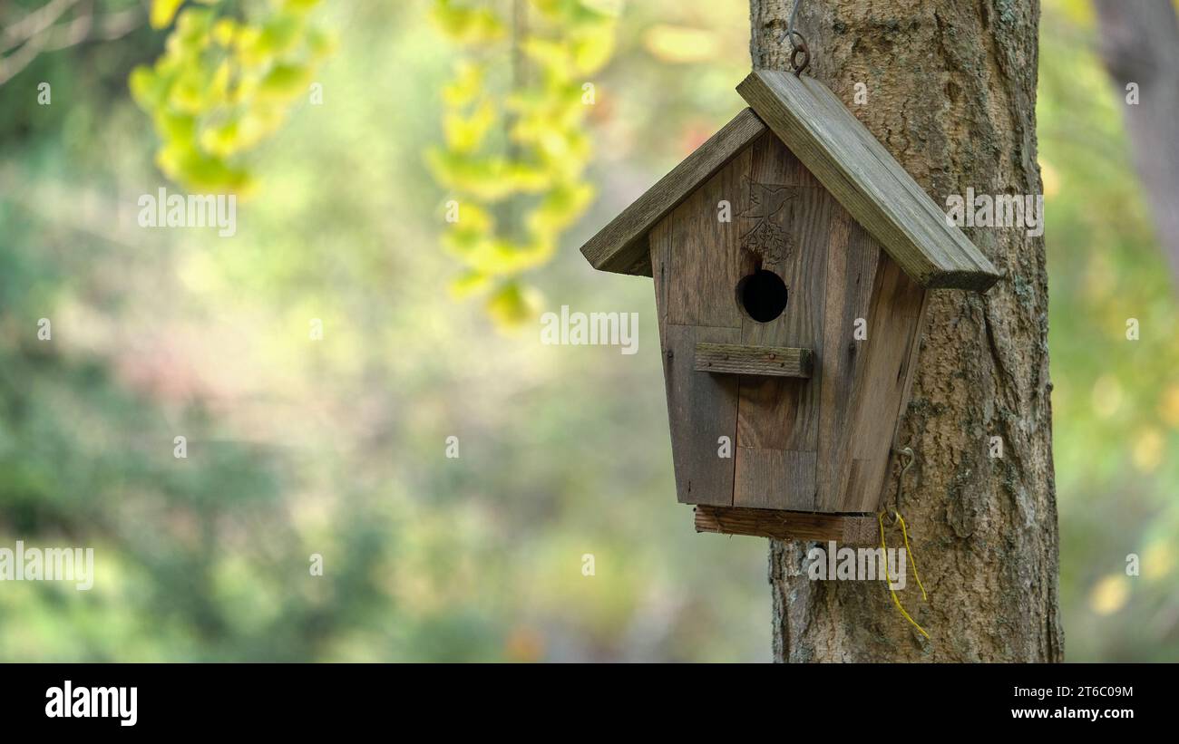 Wood bird house bird nest hanging on a tree with nature tree forest ...