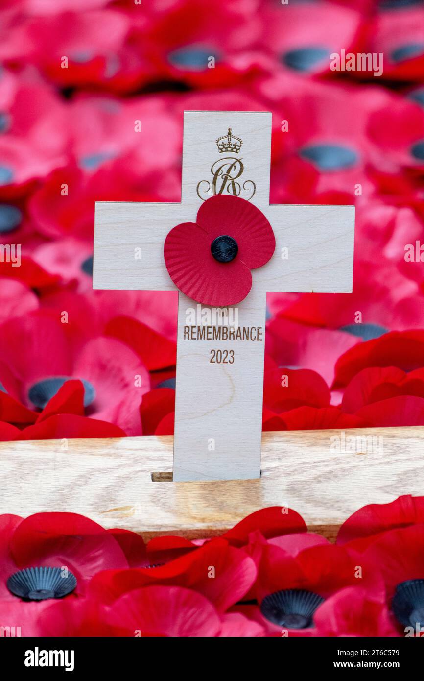 09 November 2023. London, UK. Queen CamillaÕs laid Cross Of Remembrance ...