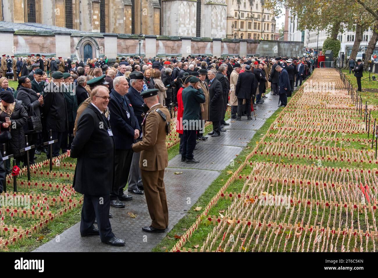 Veterans attend the field of remembrance at westminster abbey hi-res ...