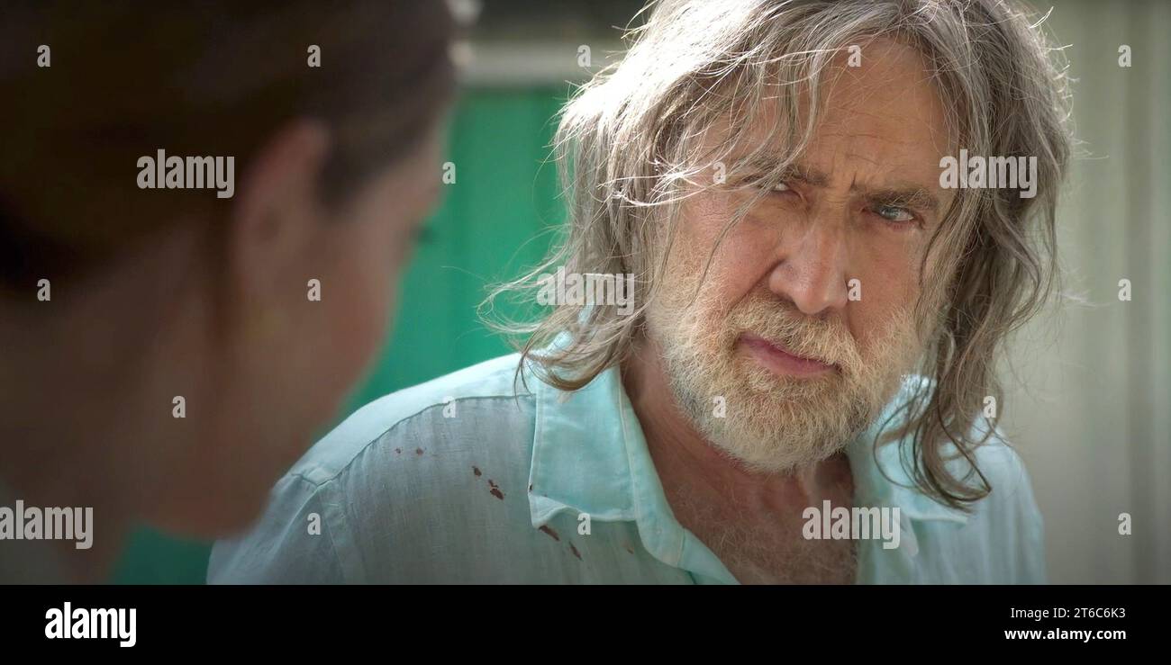 THE RETIREMENT PLAN, from left: Ashley Greene, Nicolas Cage, 2023 ...