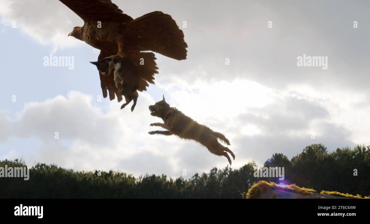 STRAYS, from left: Bug (voice: Jamie Foxx) Reggie (voice: Will Ferrell ...