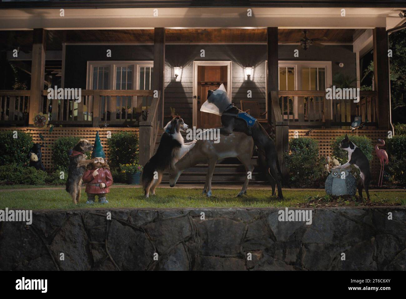 STRAYS, from left: Reggie (voice: Will Ferrell), Maggie (voice: Isla ...