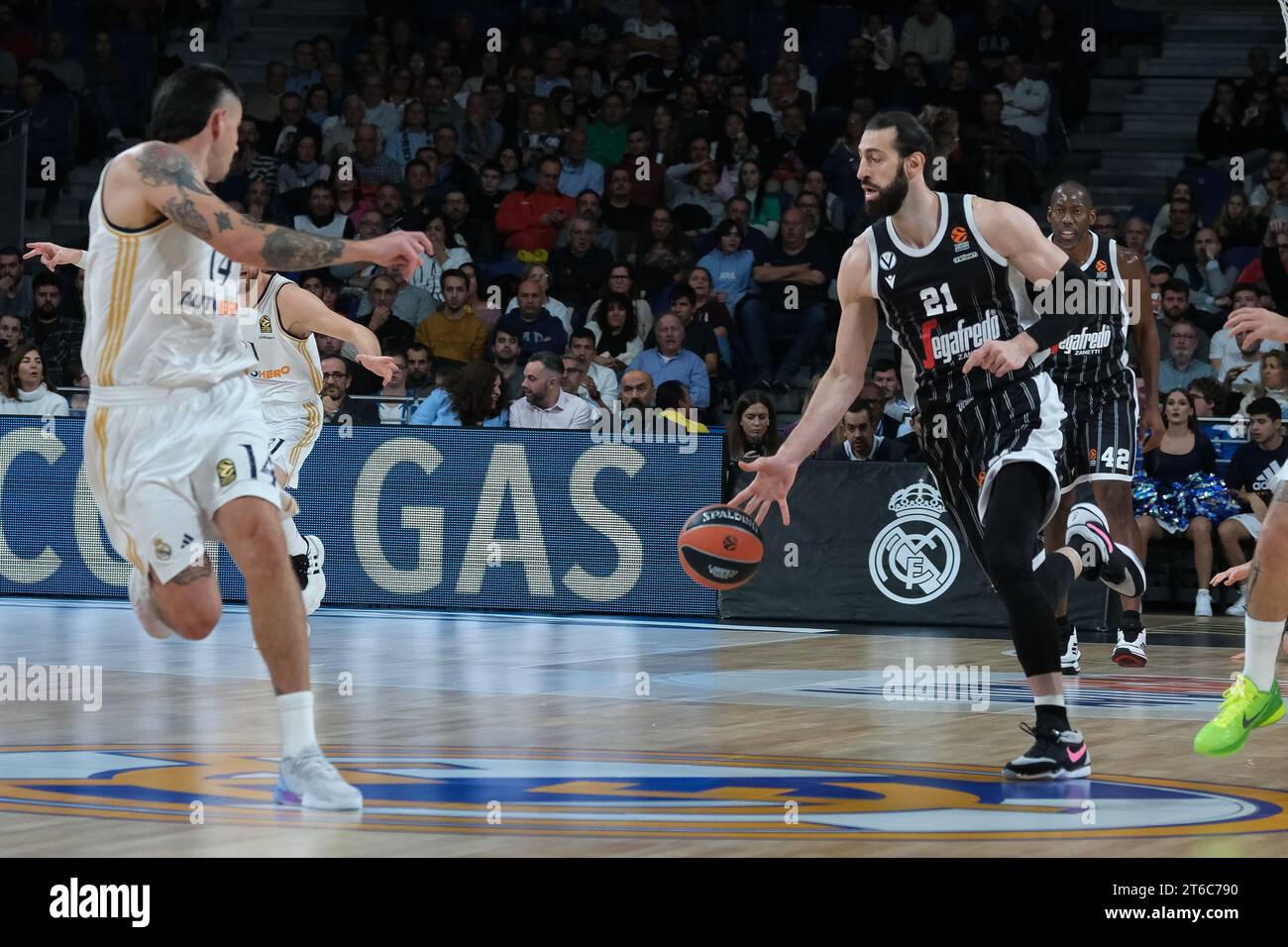 Tornike of bologna hi-res stock photography and images - Alamy