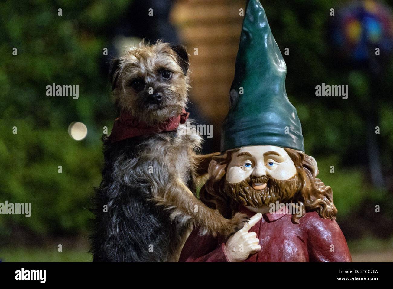 STRAYS, Reggie (voice: Will Ferrell), 2023. ph: Chuck Zlotnick ...