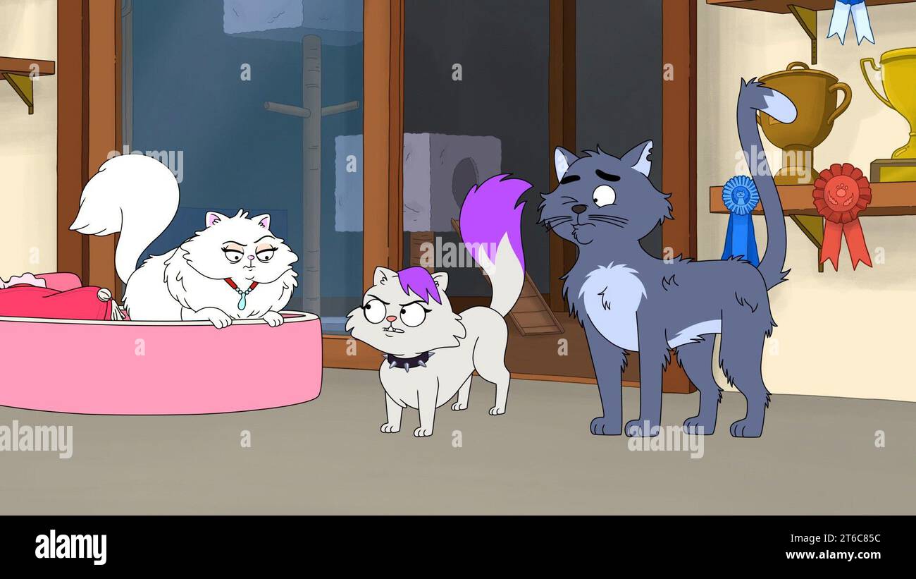 HOUSEBROKEN, from left: Tabitha (voice: Sharon Horgan), Kit Kat (voice ...