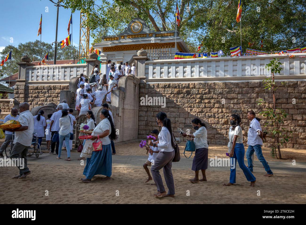 Buddhist pilgrims carrying offerings and flowers climb the stairs ...