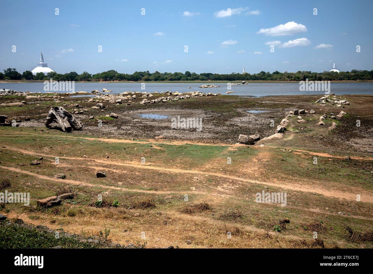 The low water level of Basawakkulama Tank (reservoir) at Anuradhapura ...