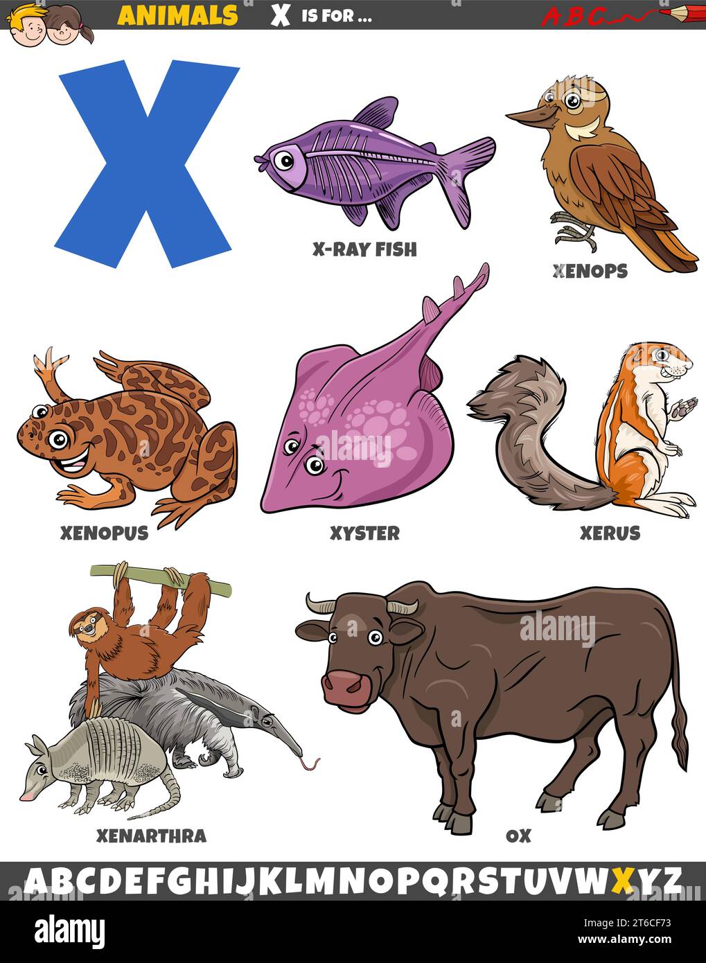 Cartoon illustration of animal characters set for letter X Stock Vector ...