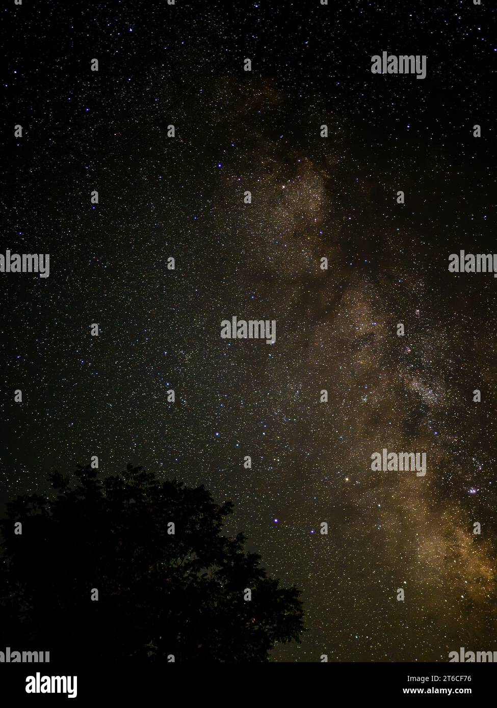 Near Mathias, West Virginia, a serene night sky reveals the Milky Way ...