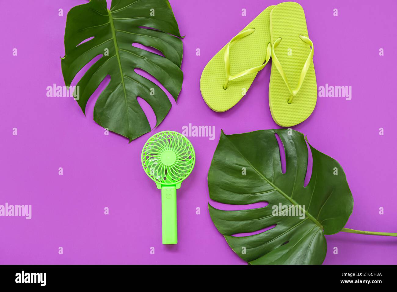 Portable green electric fan, flip-flops and monstera leaves on purple ...