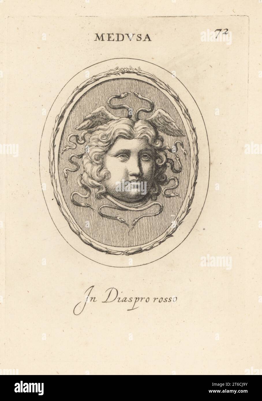 Head of Medusa with snakes and wings in her hair, one of the monstrous ...