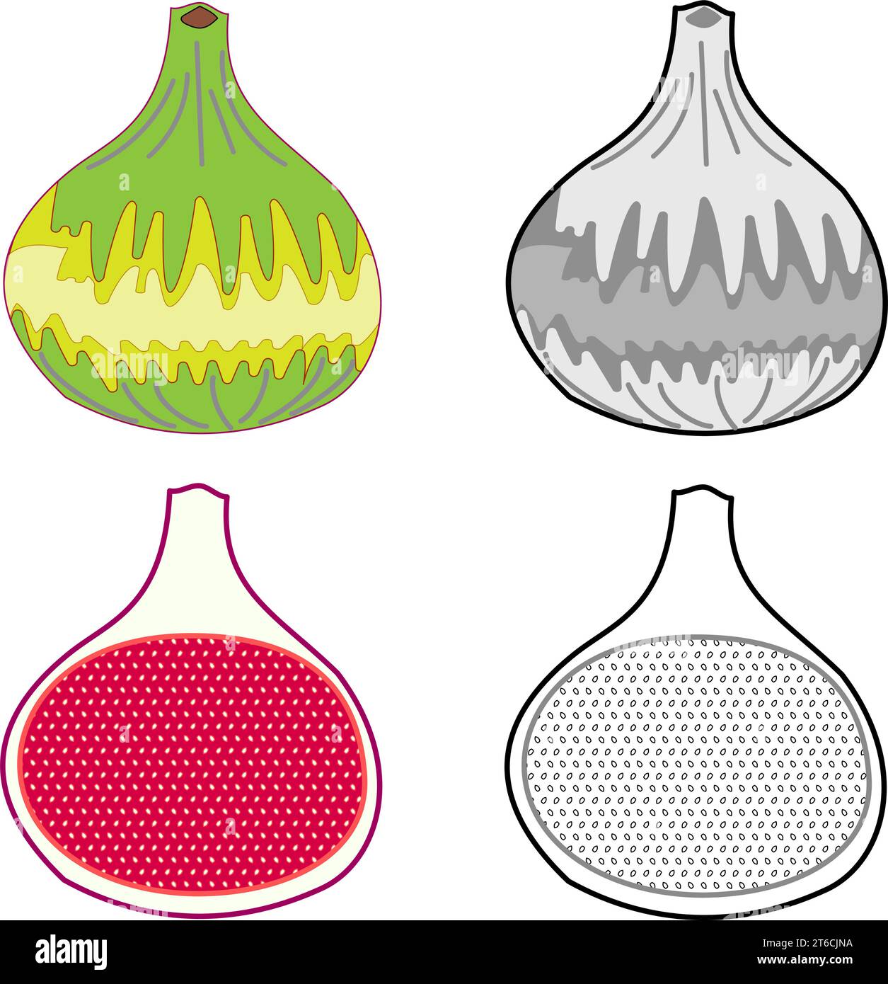 Half fig fruit icon flat hi-res stock photography and images - Alamy