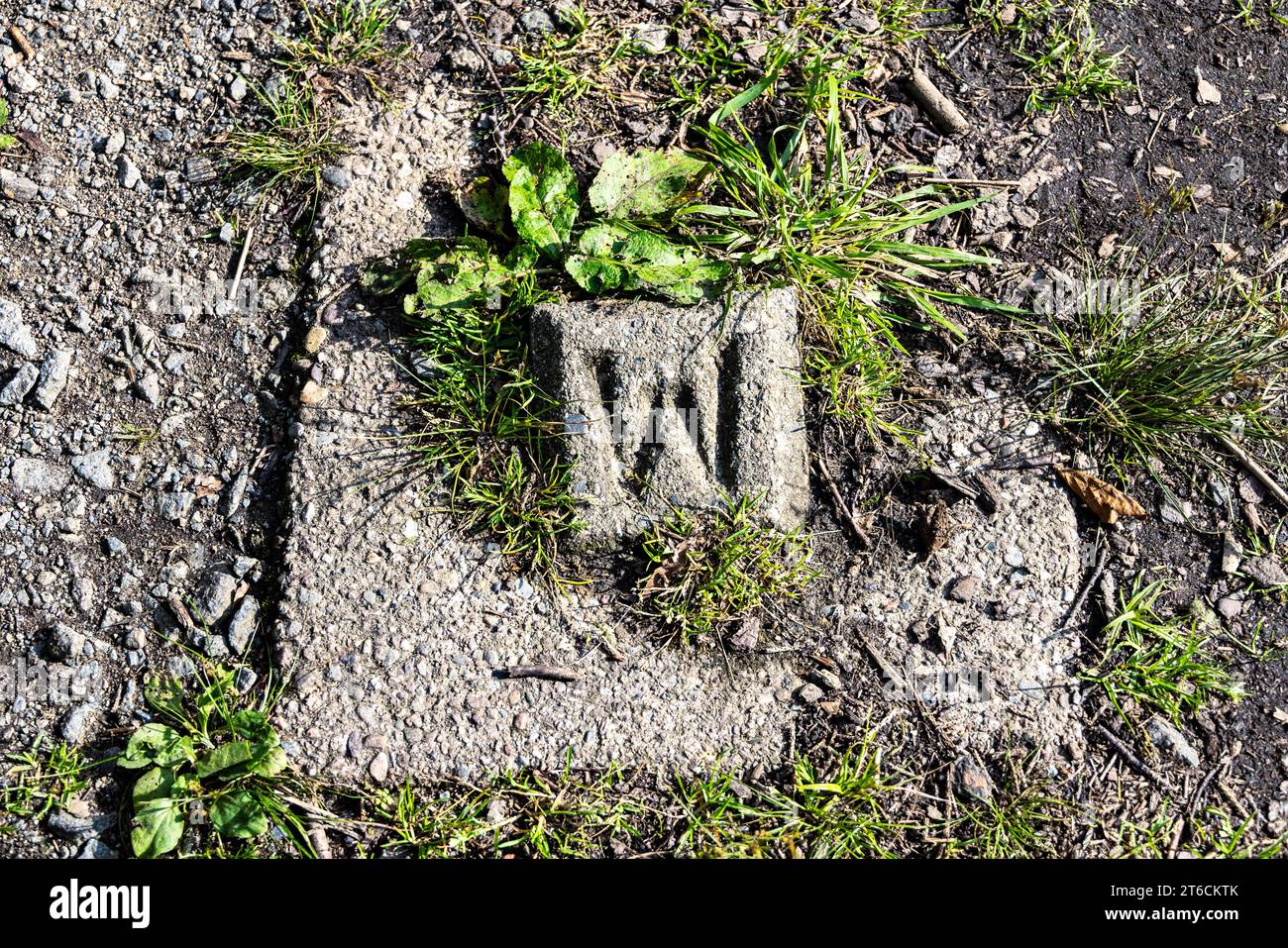 Marker Stone with letter in the ground Stock Photo - Alamy