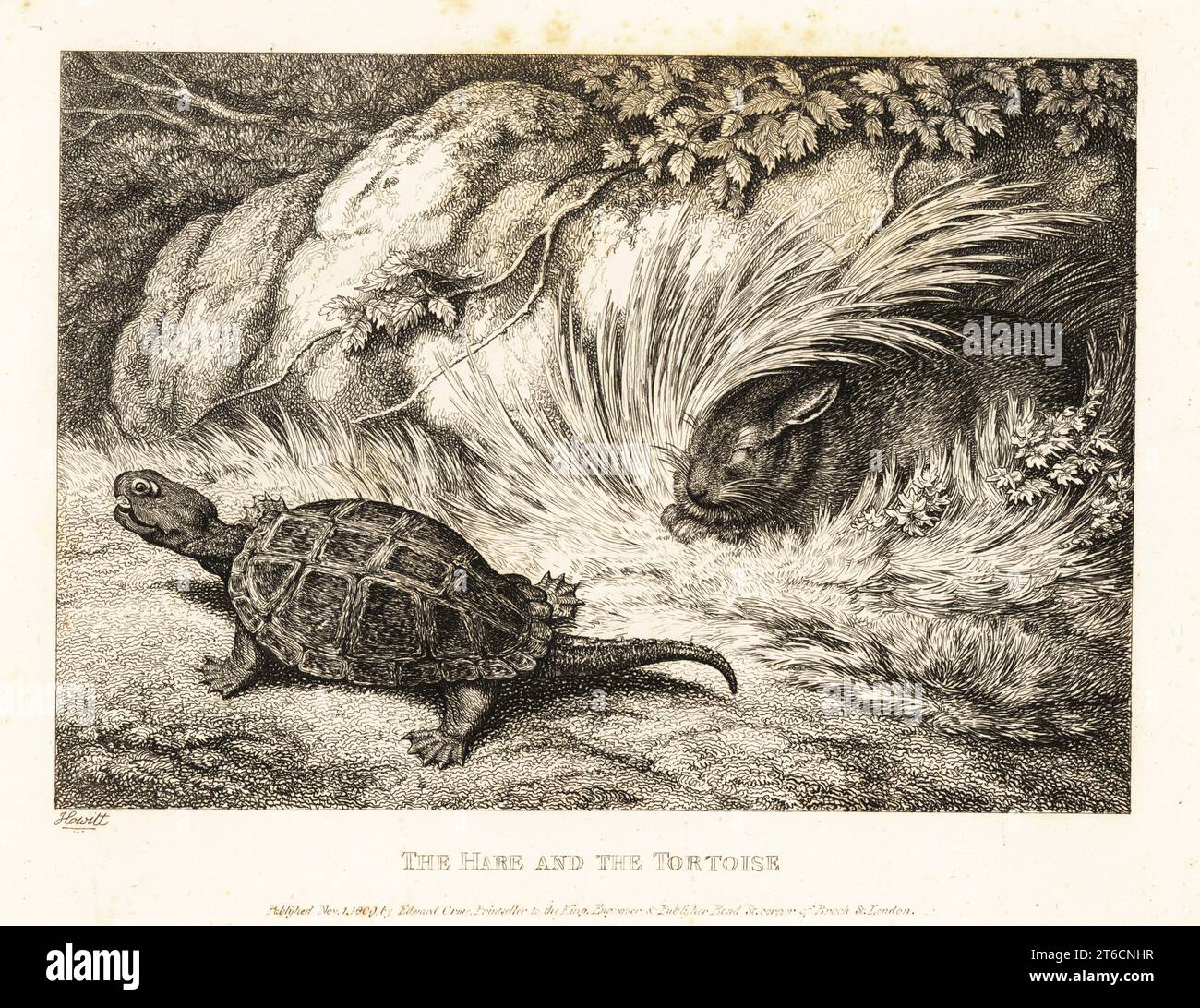 Hare and tortoise race hi-res stock photography and images - Alamy