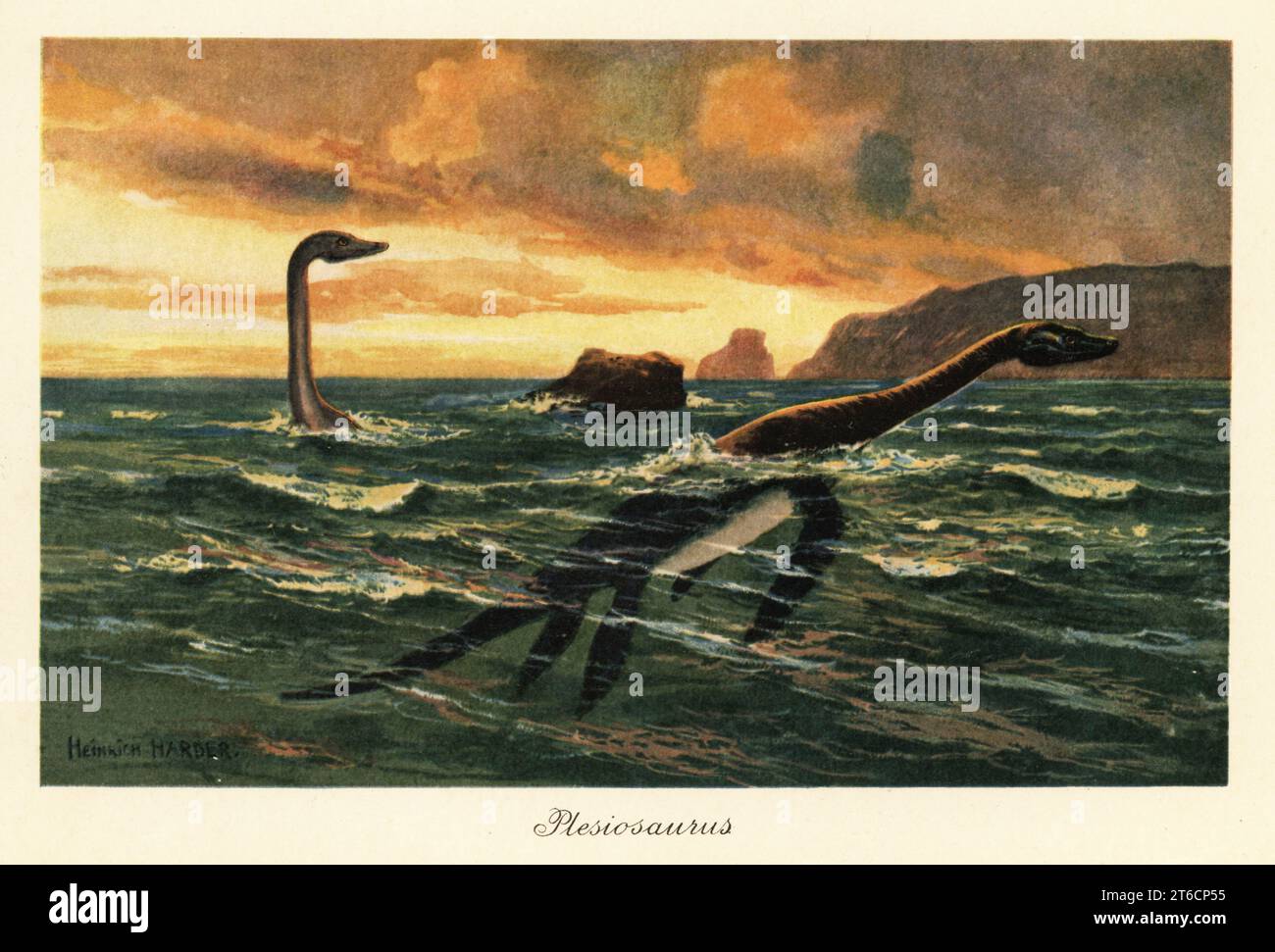 Plesiosaurus dolichodeirus in the ocean. Plesiosaurus (Greek: plesios ...