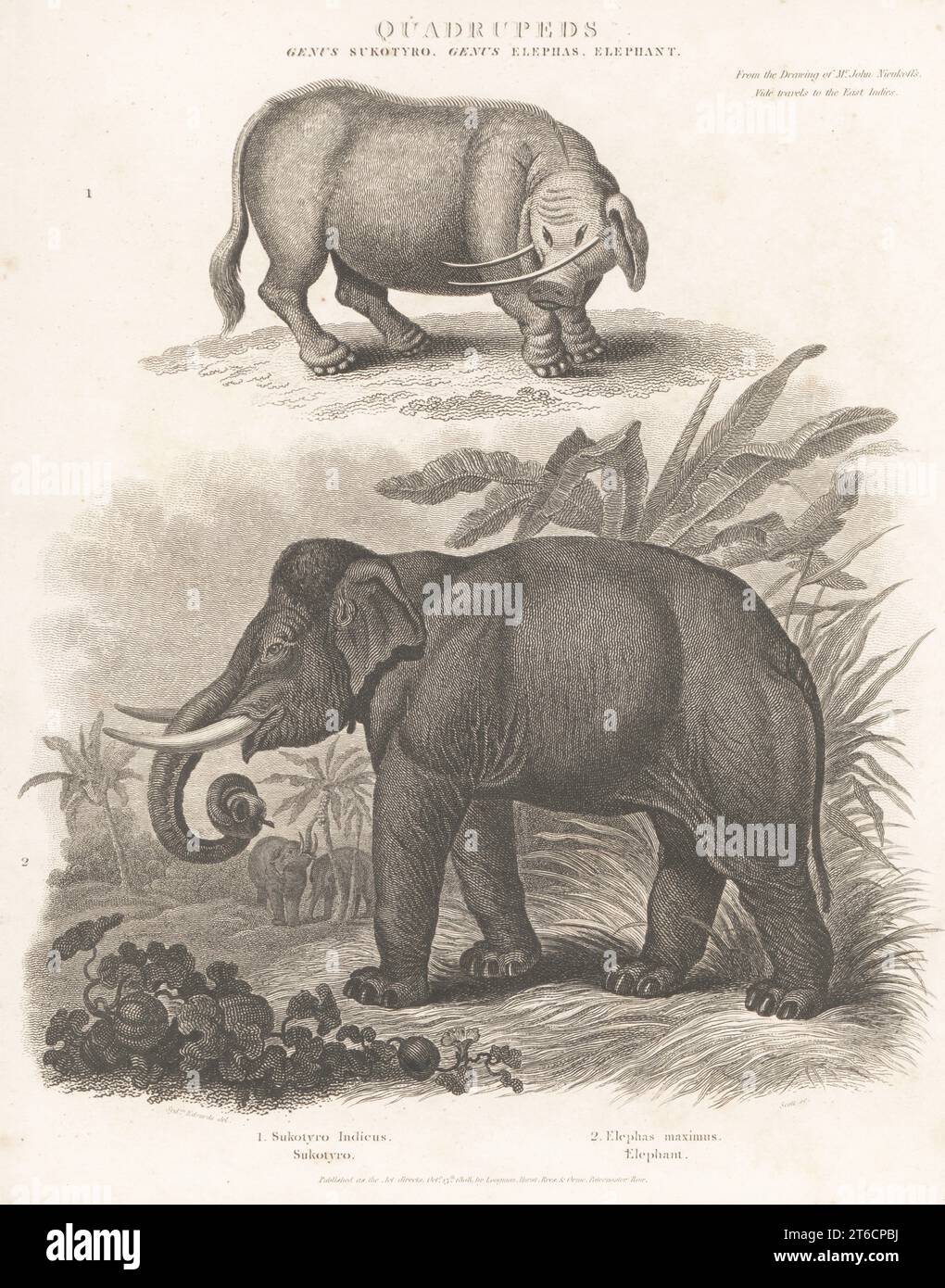 Johan abraham hi-res stock photography and images - Alamy