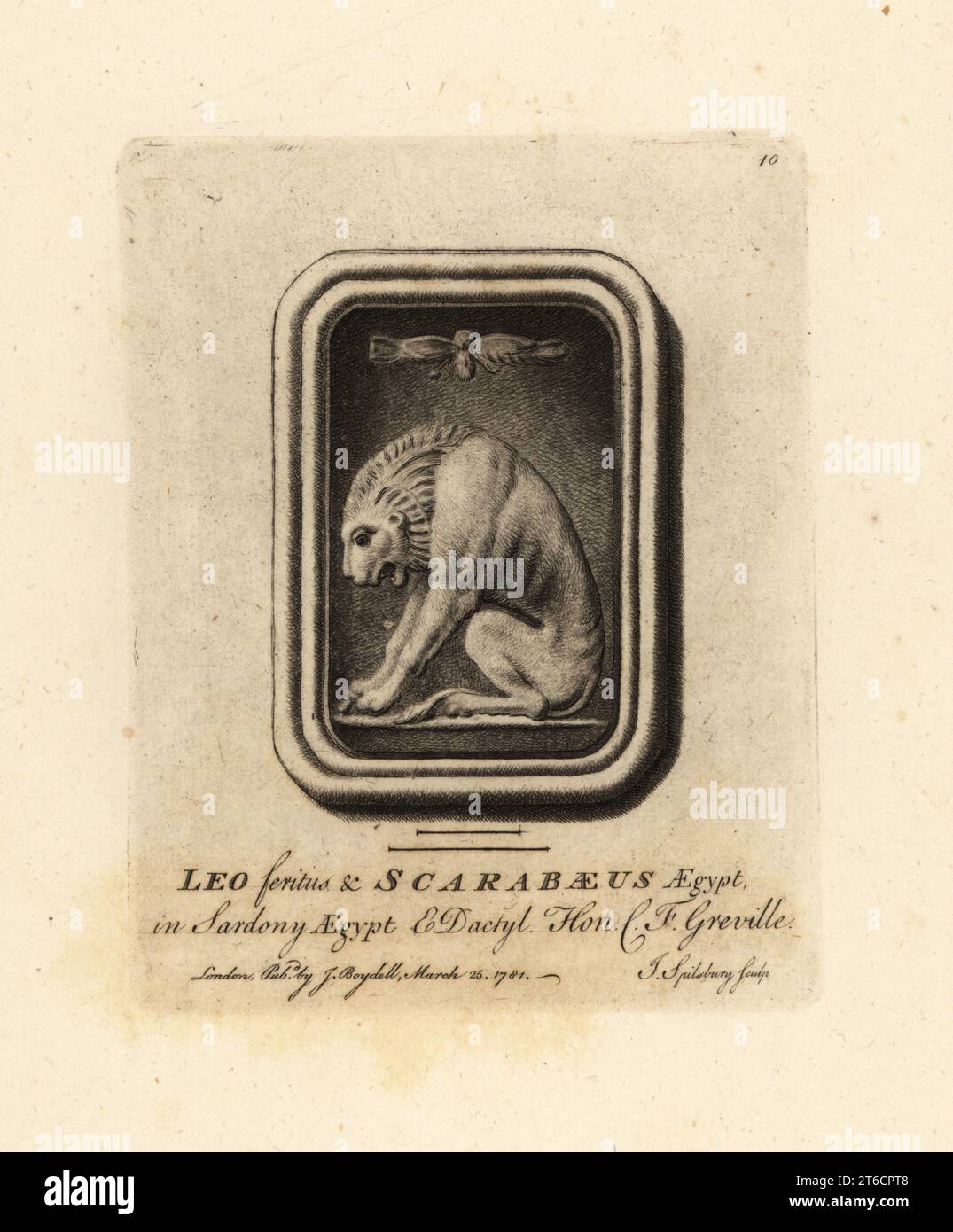 Egyptian scarab beetle hi-res stock photography and images - Alamy