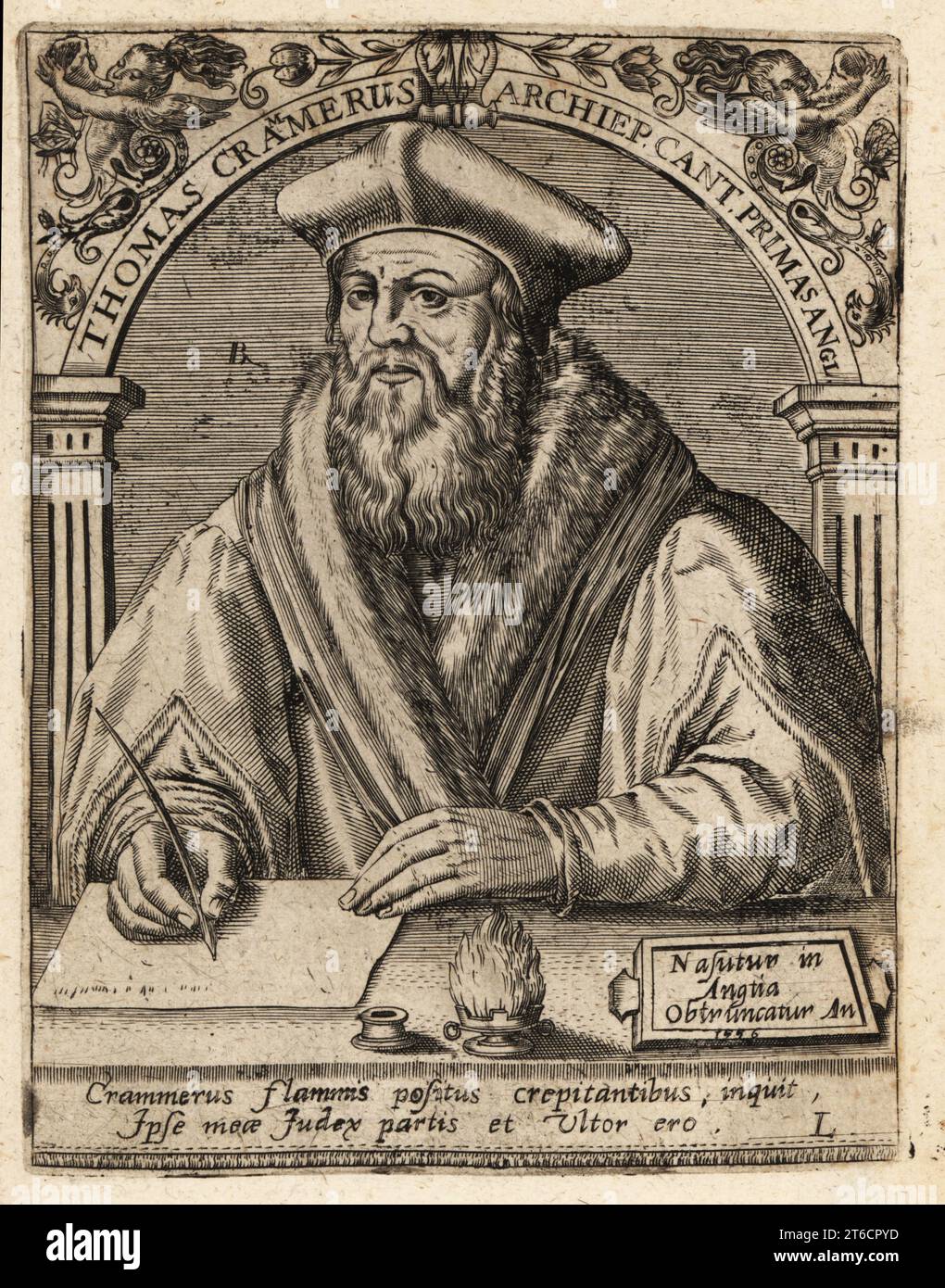 Cramerus hi-res stock photography and images - Alamy