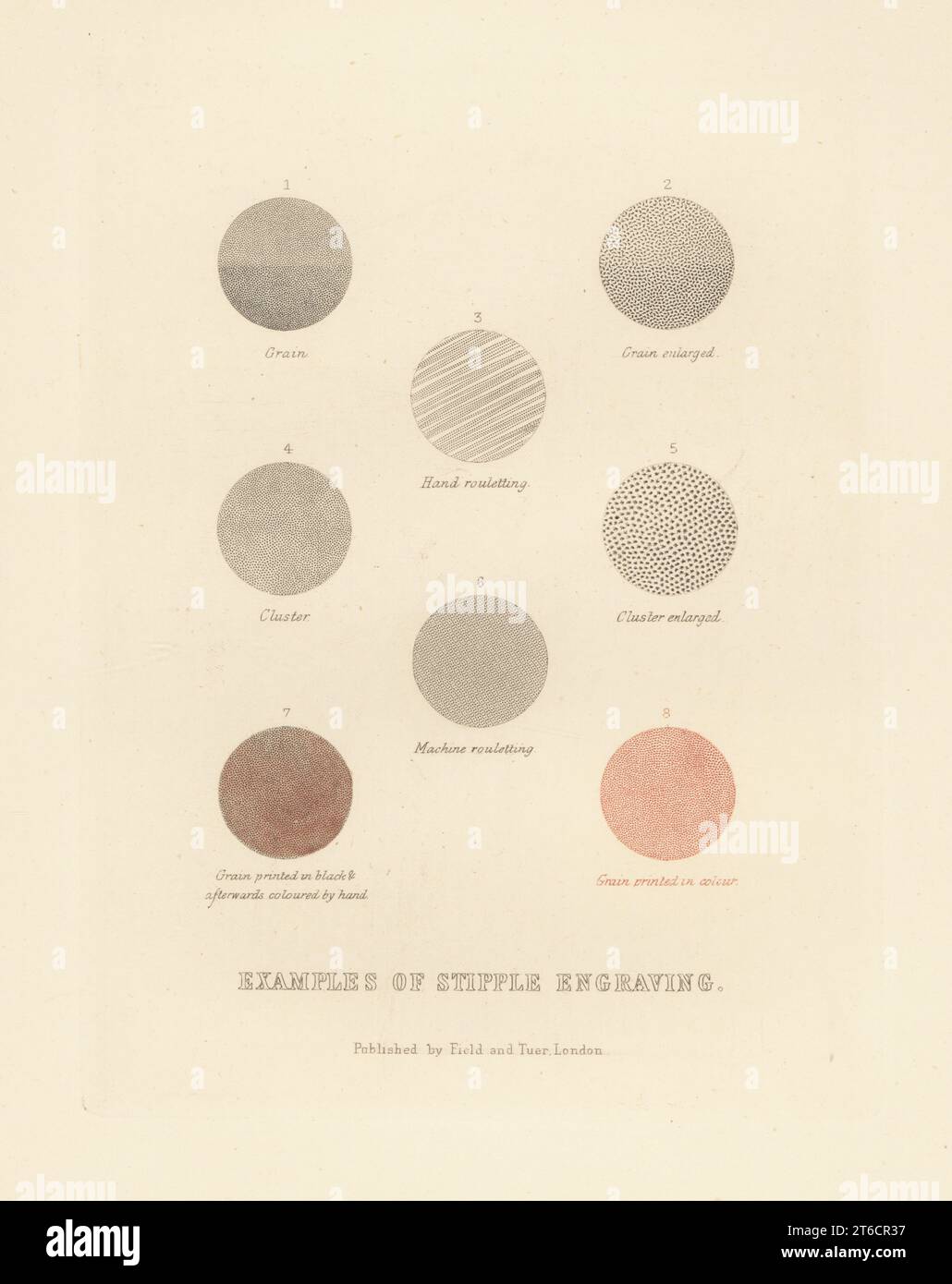 Example of stipple engraving. Grain 1, grain enlarged 2, hand ...