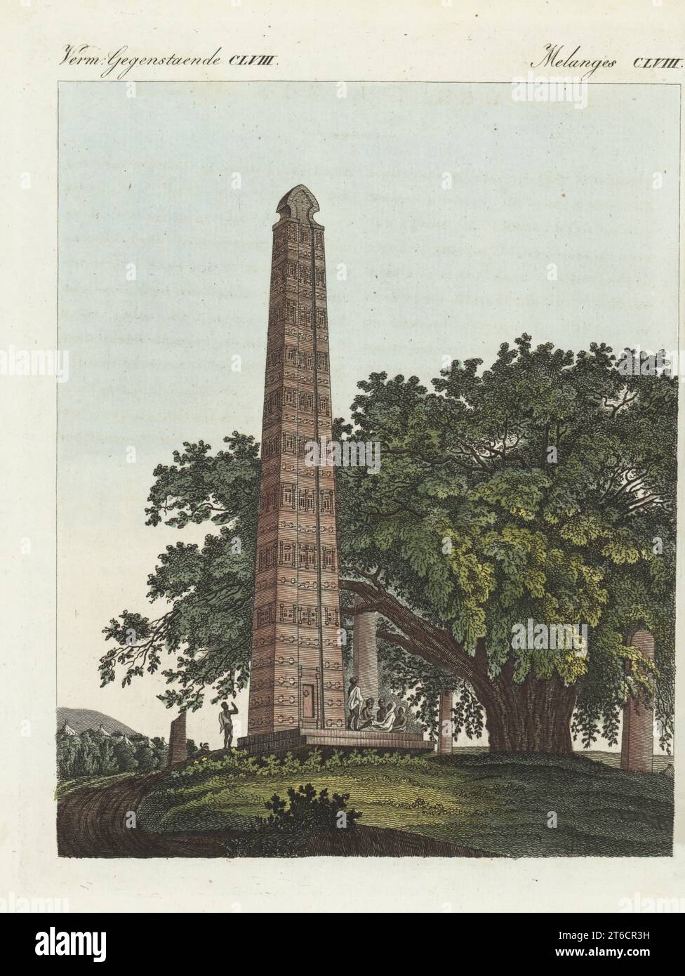 Egyptian sycamore hi-res stock photography and images - Alamy