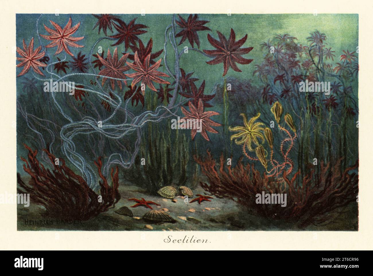 Prehistoric sea monster hi-res stock photography and images - Alamy