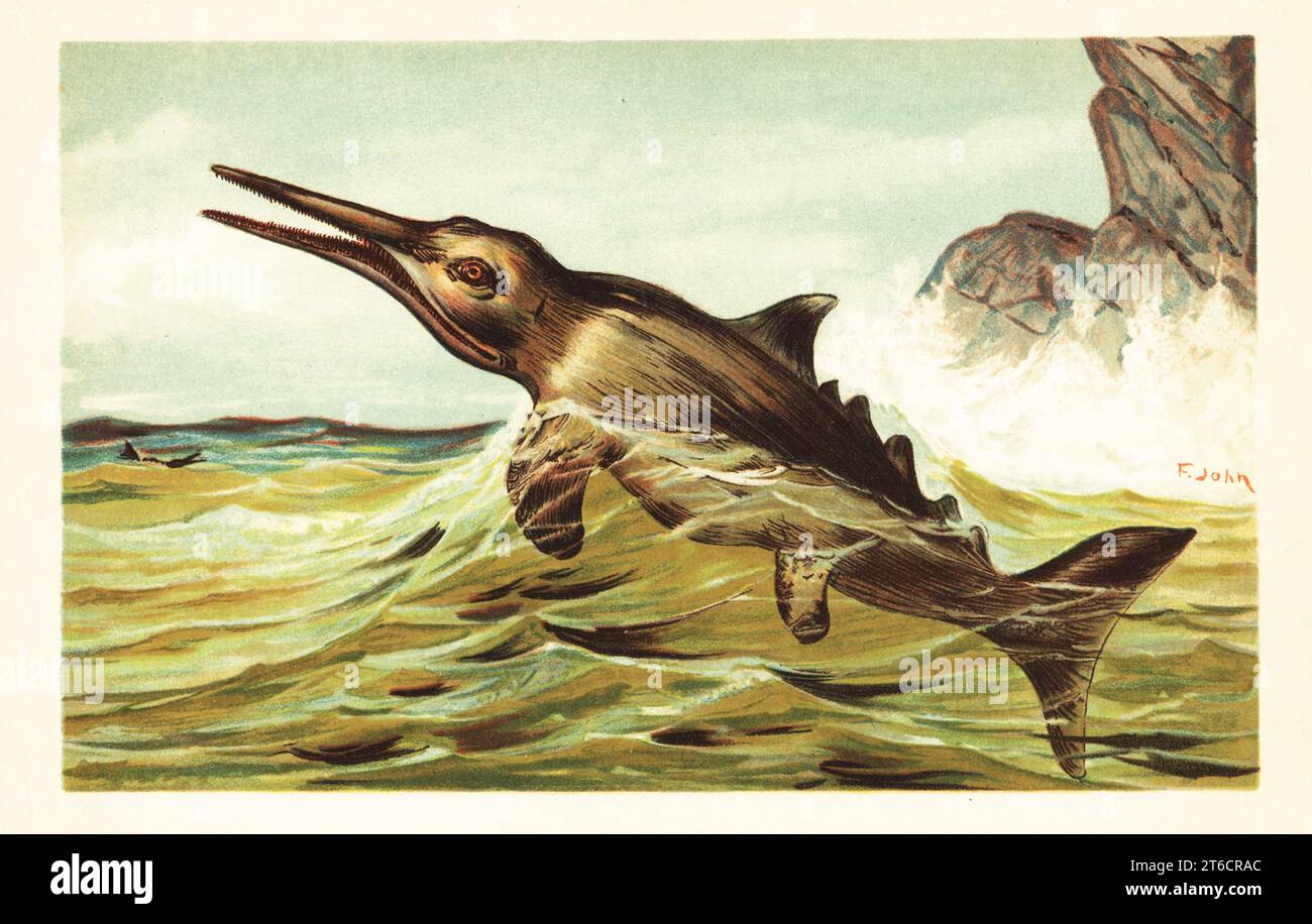 Stenopterygius quadriscissus Quenstedt. An Ichthyosaurus, genus of ...