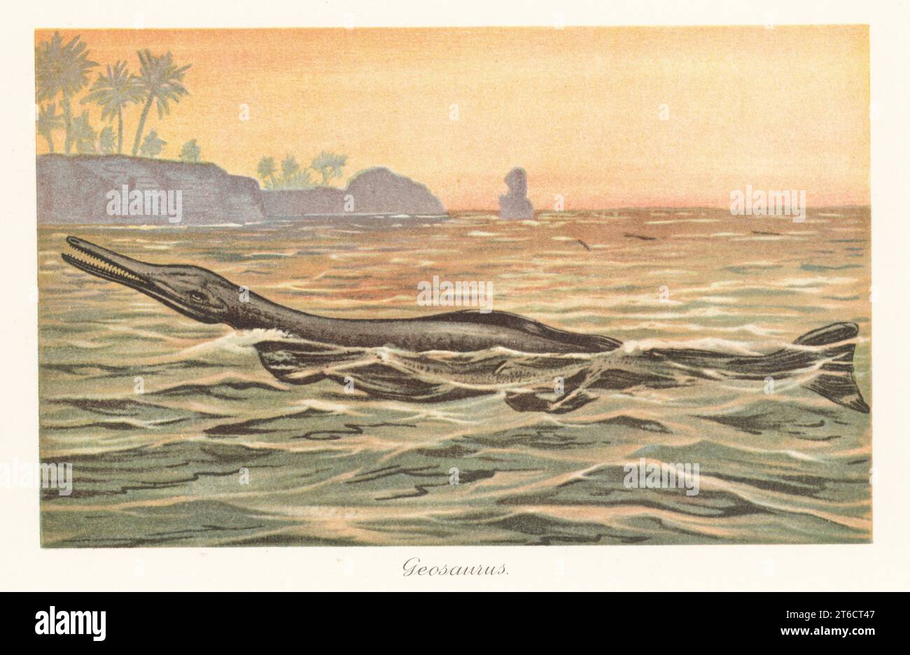 Reconstruction of a Geosaurus, extinct genus of marine crocodyliform of ...