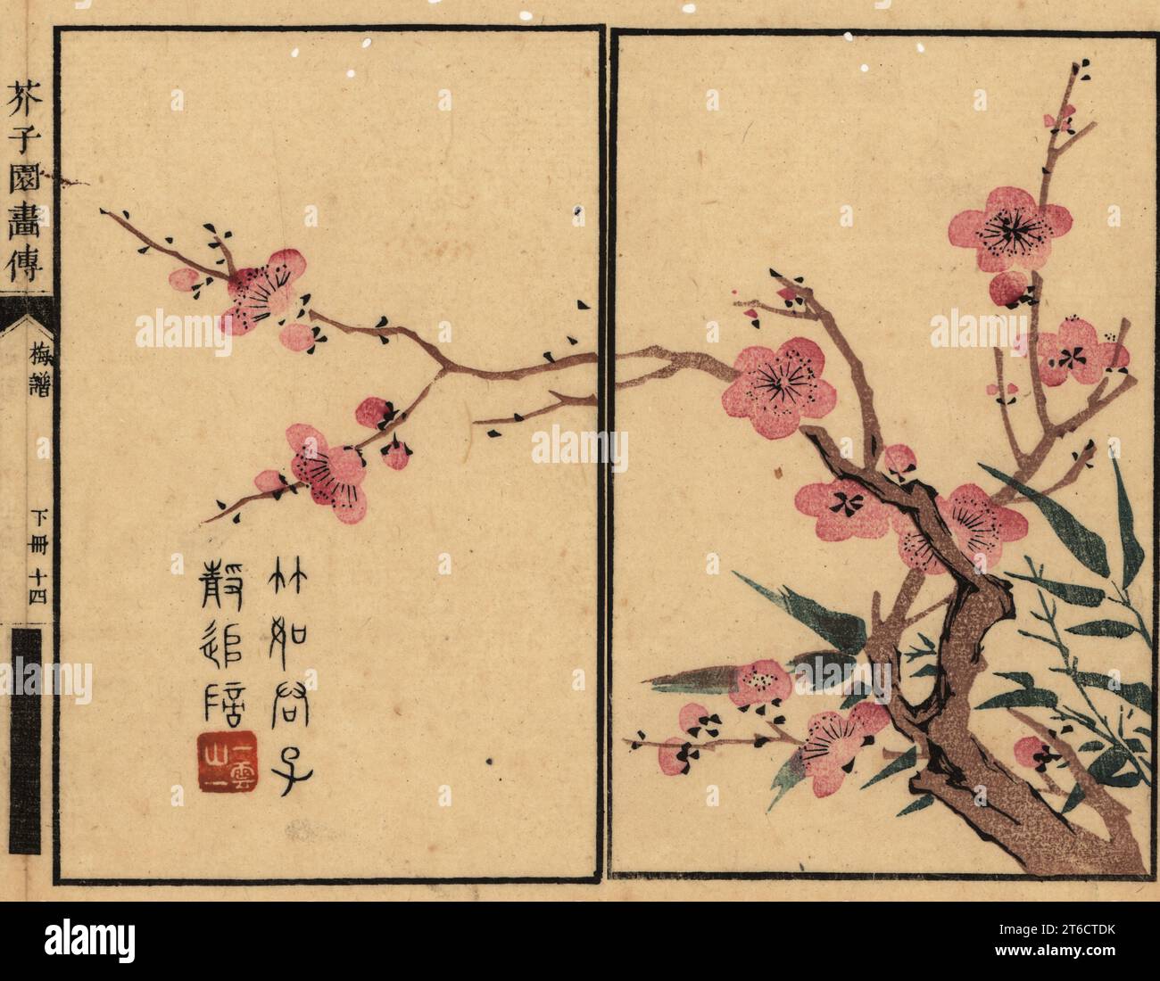 Branch of pink plum blossom with calligraphy and seal. Color woodblock ...