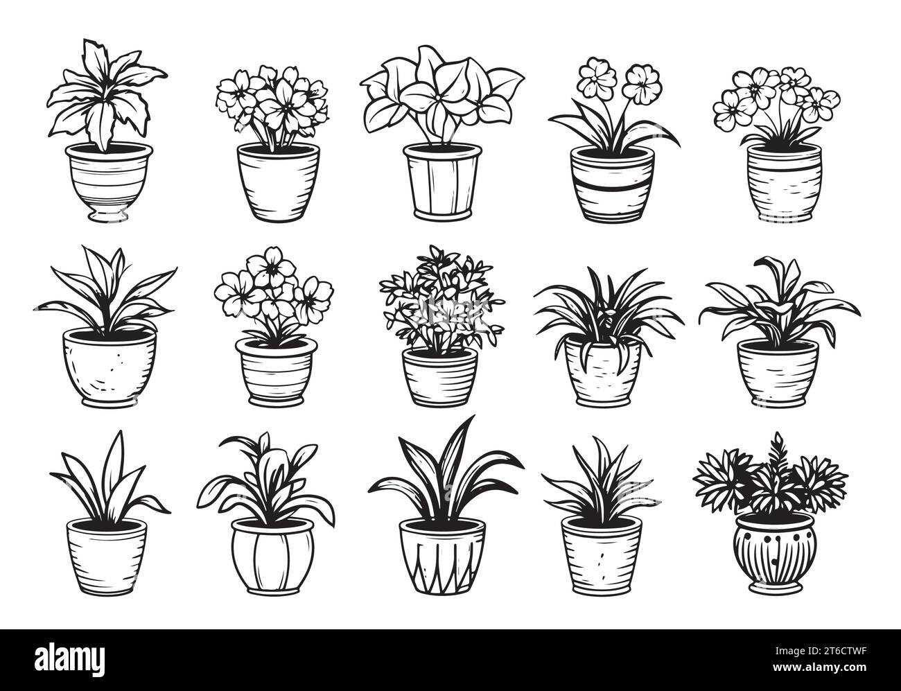 Simple house plant drawing hi-res stock photography and images - Alamy