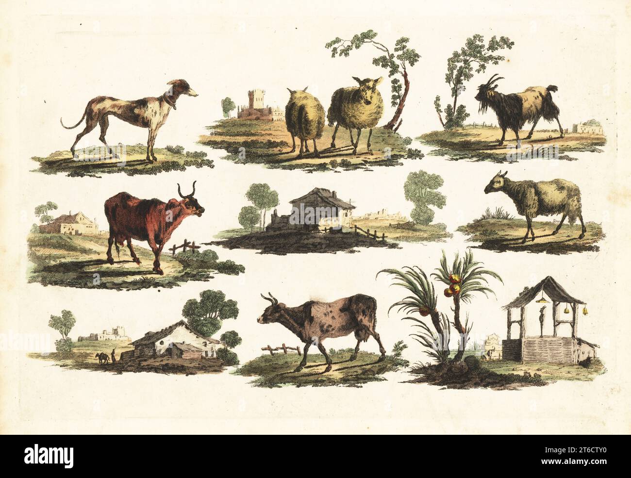 Group of rustic farmyard animals, 18th century. Sheep, cows, dogs, and ...