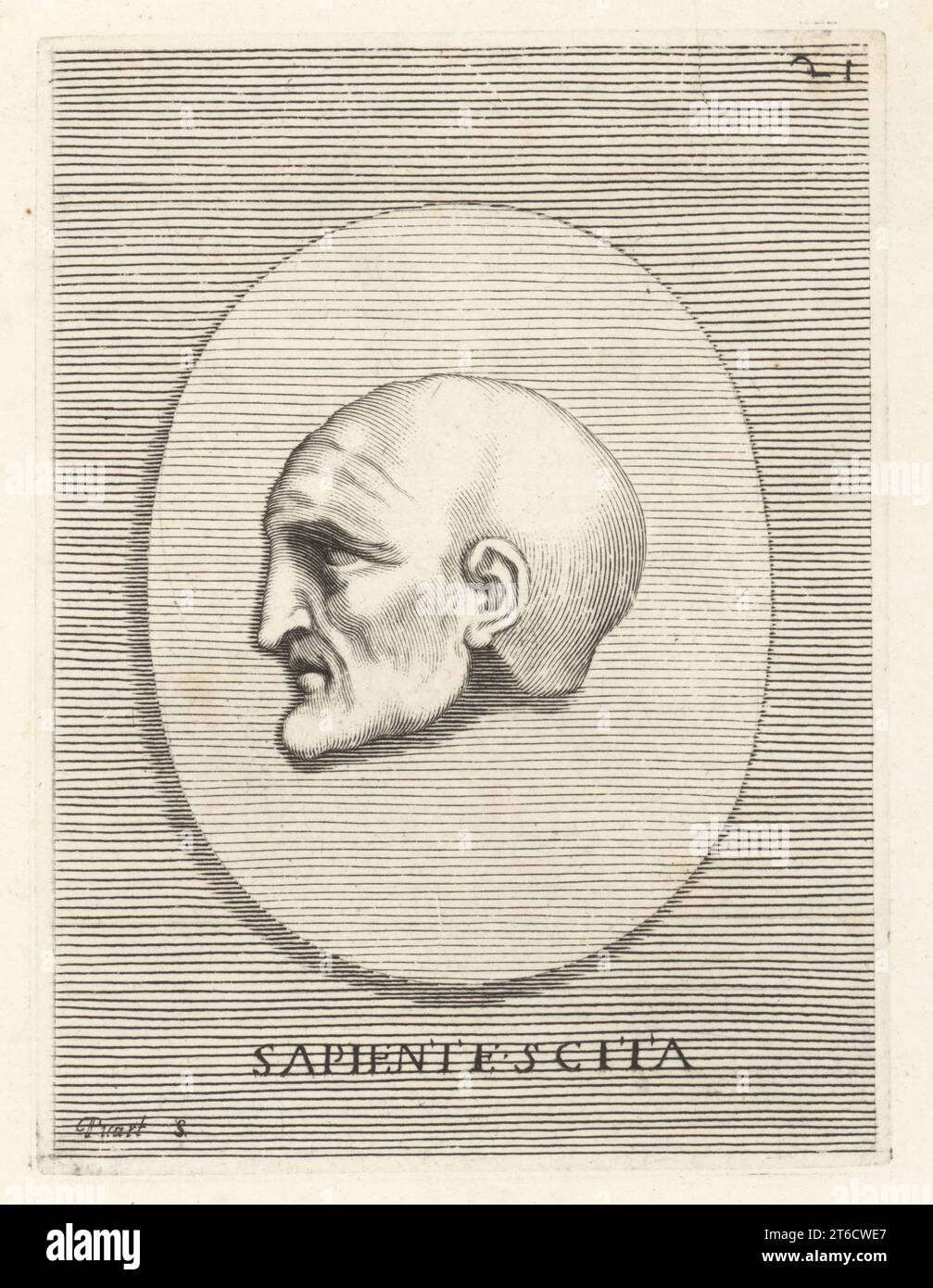 Bust of a Scythian scholar or sage, profile of a man with a shaved head ...