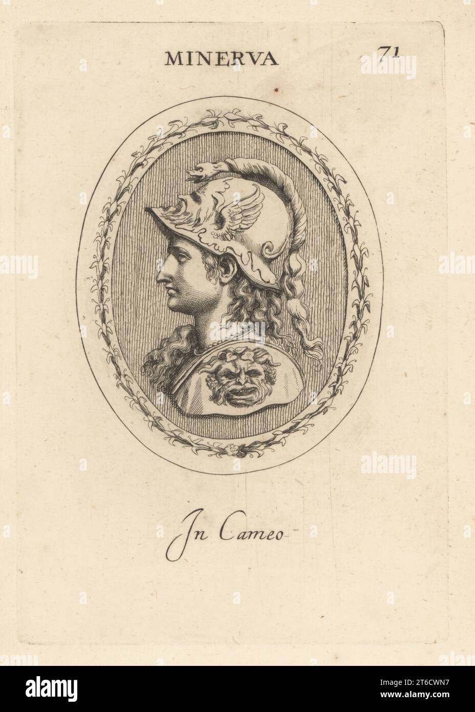 Bust in profile of Minerva, Roman goddess of wisdom, justice, law ...