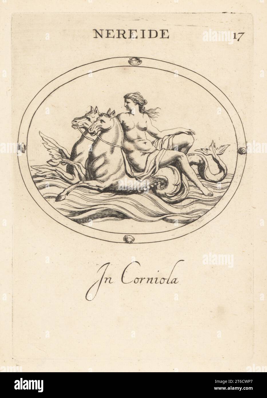 Sea nymph or Nereid riding two hippocamps in the ocean. In cornelian ...