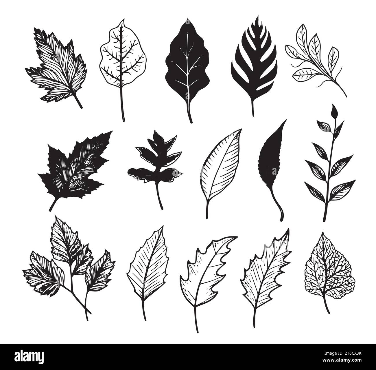 Set of leaves. Hand drawn decorative elements. Vector Stock Vector ...