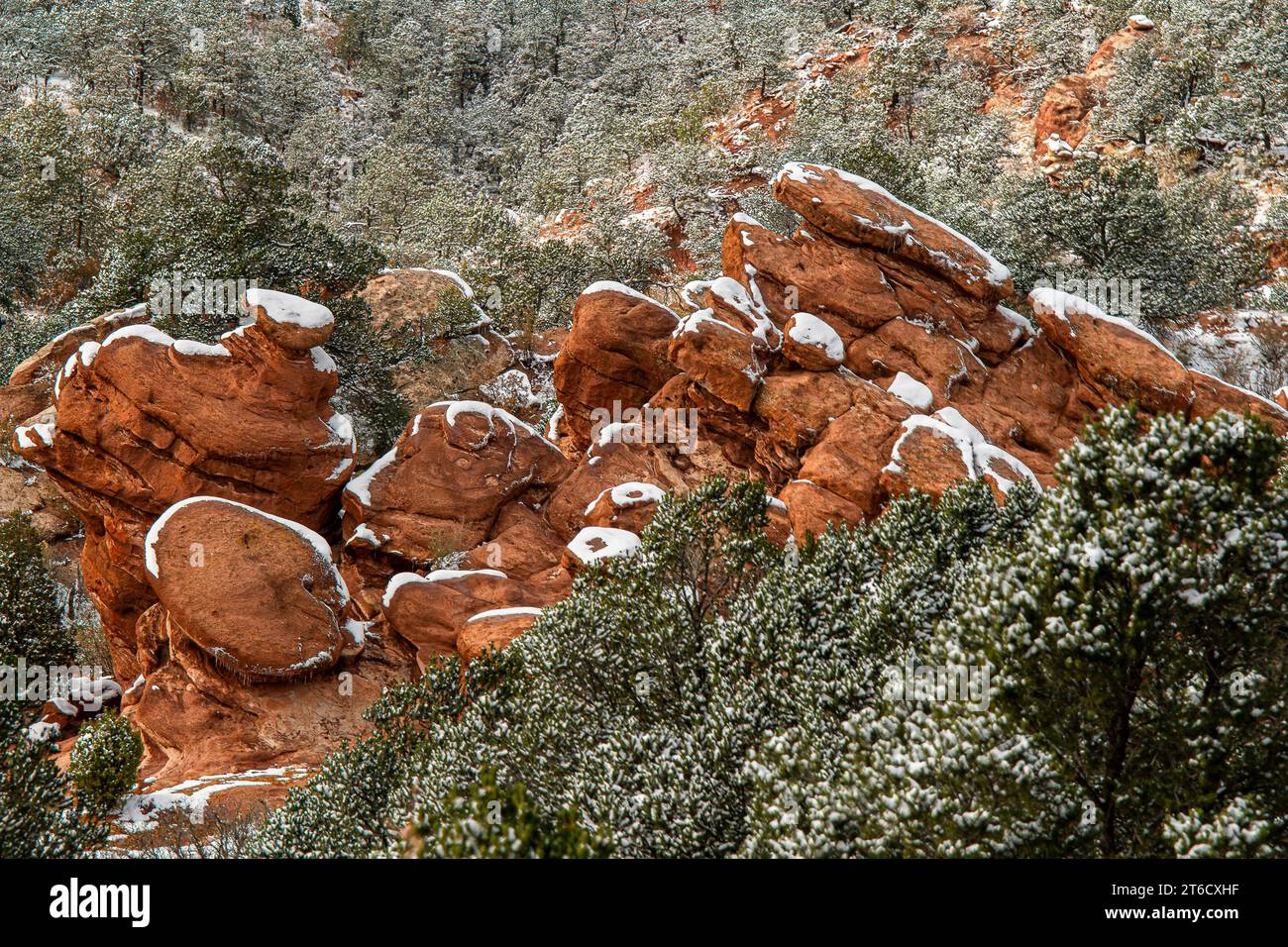 Red sandstone rock features, showing interesting texture, pits and pock ...