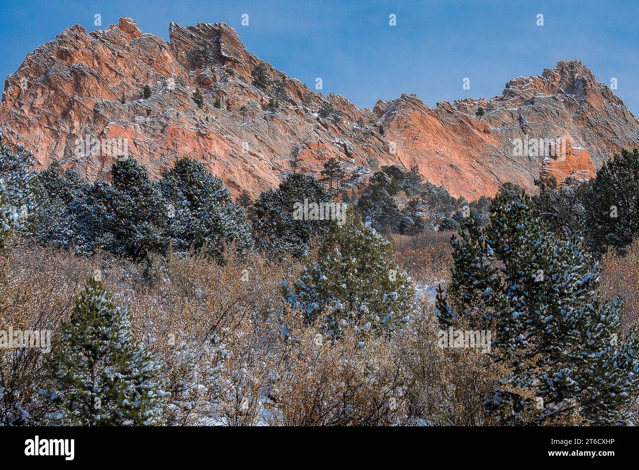 Red sandstone rock features, showing interesting texture, pits and pock ...