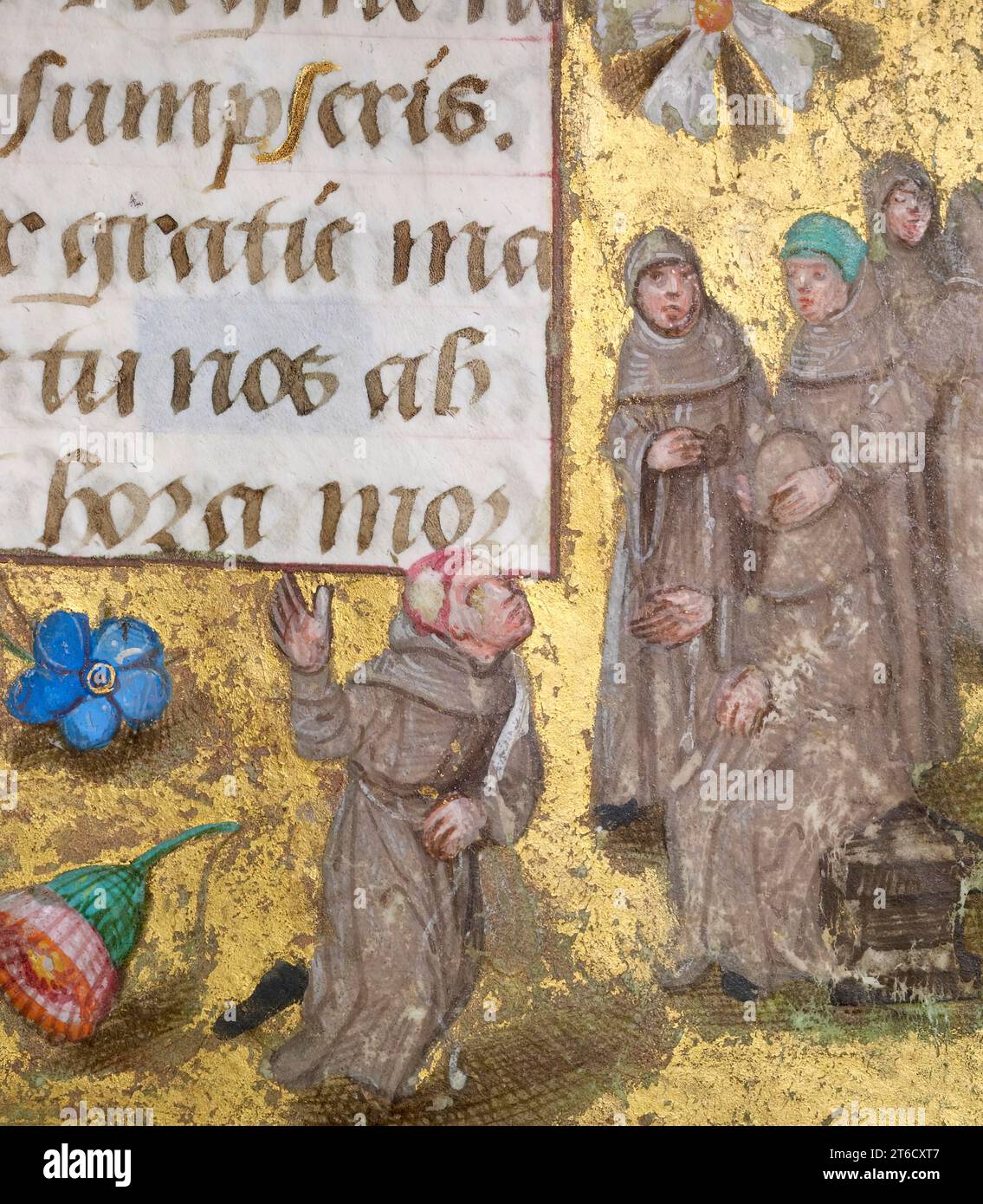 Secular marginalia hi-res stock photography and images - Alamy