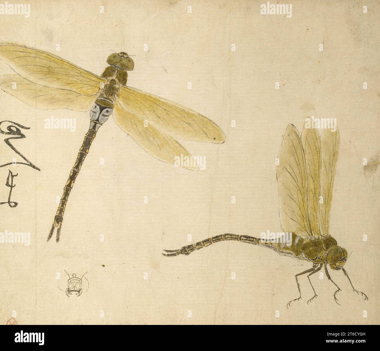 Designs for Inro and Other Lacquers, 1801. A very rare Japanese pattern ...