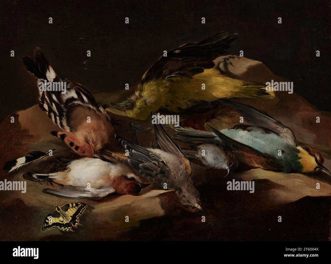 Slaughter birds hi-res stock photography and images - Alamy