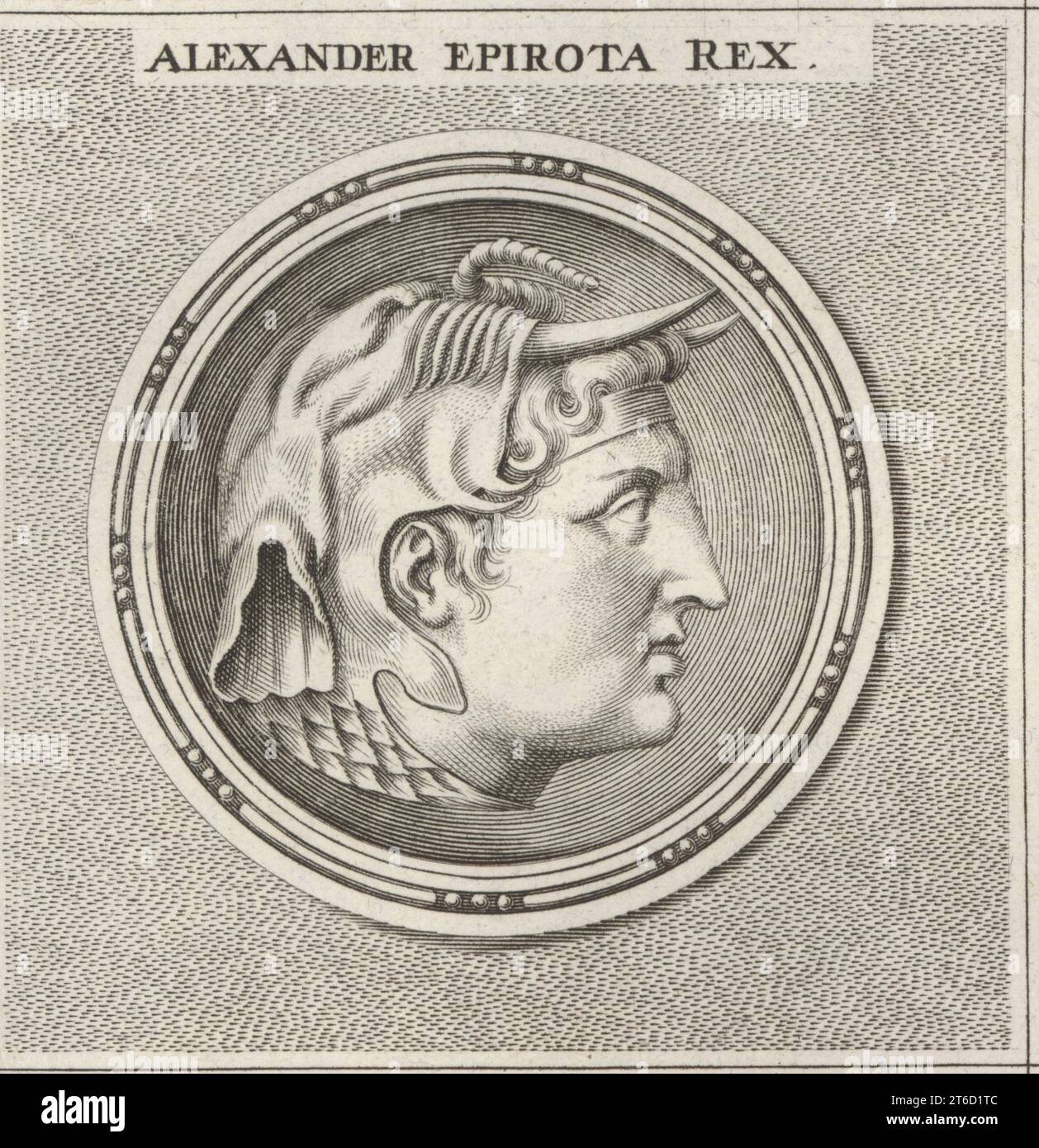 Alexander molossus hi-res stock photography and images - Alamy