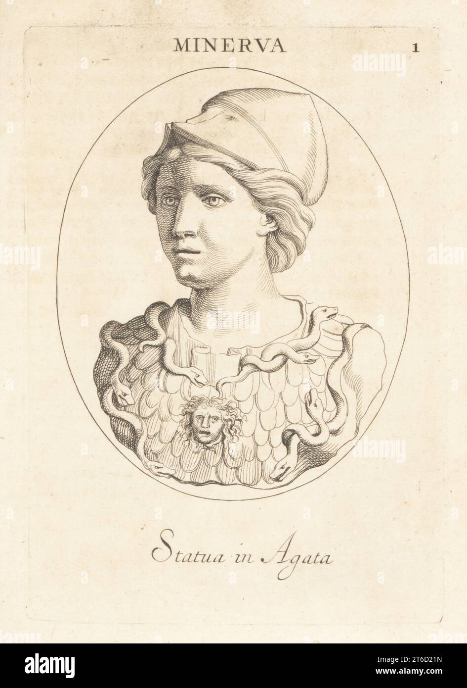 Bust of Minerva, Roman goddess of wisdom. In helmet and breastplate ...