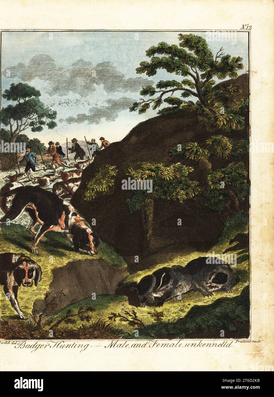 Daniel badger hi-res stock photography and images - Alamy