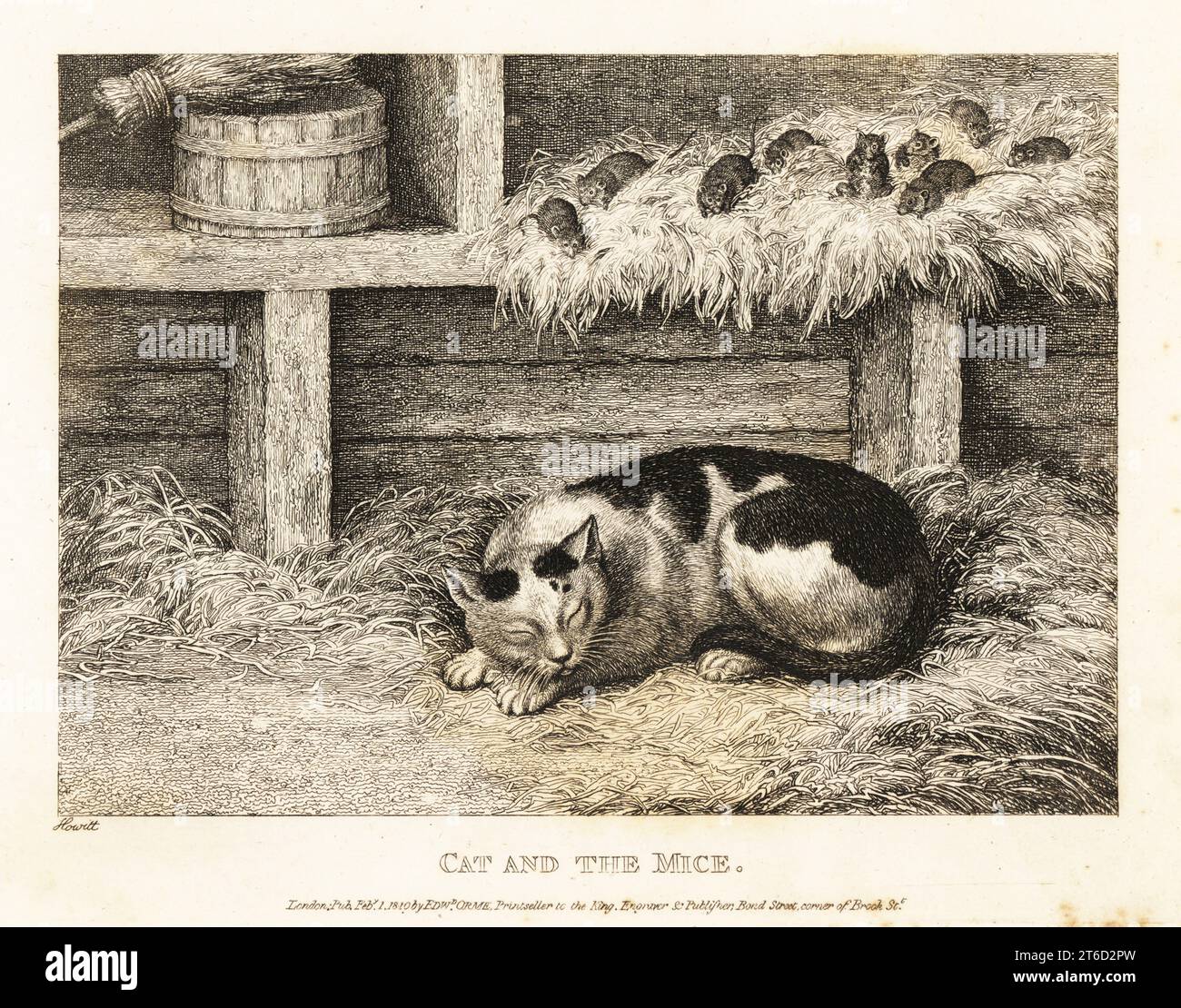 Wary mice above a cat pretending to sleep in a barn. Cat and the mice ...